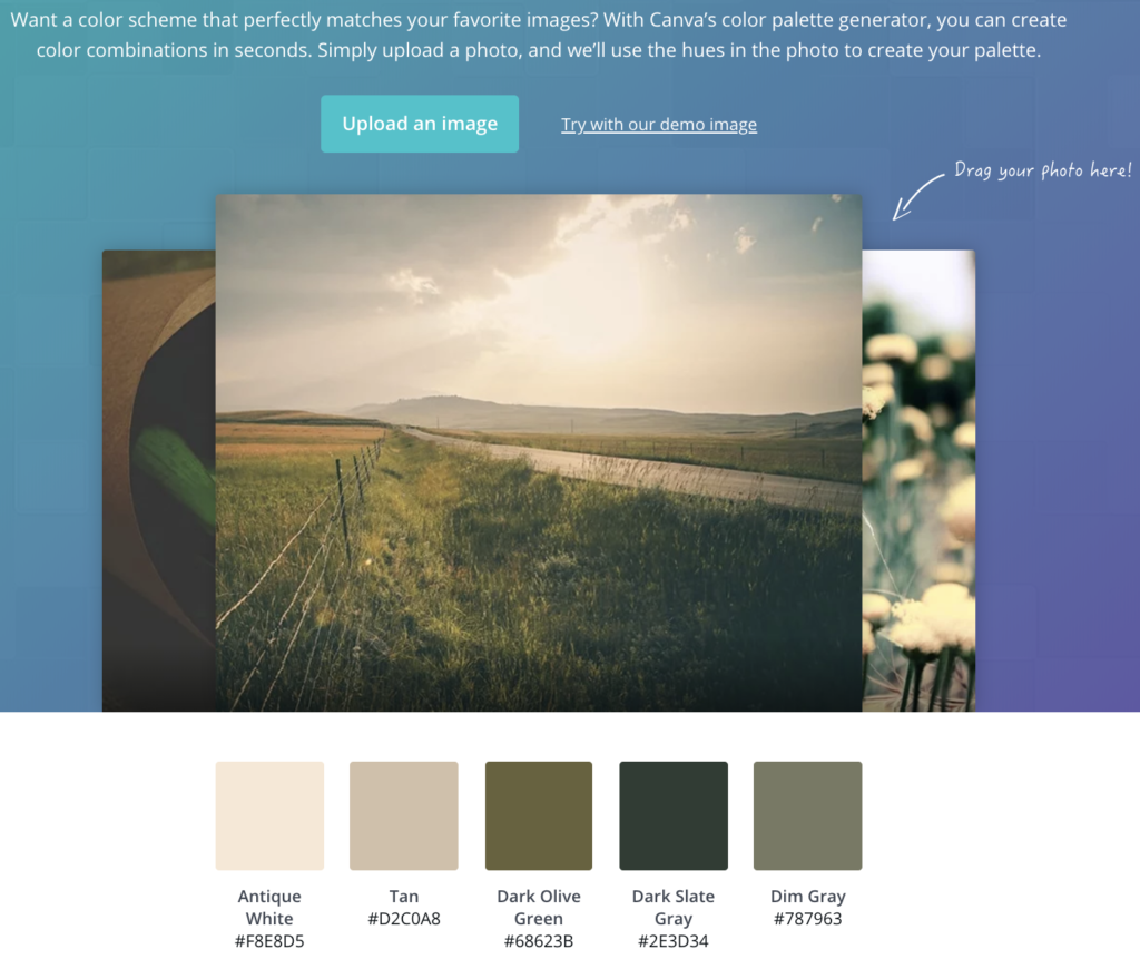 How To Choose The Right Colour Palette For Your Website Design